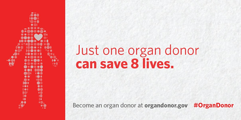 Understanding Organ Donation | What, How, and Why You Should Sign Up